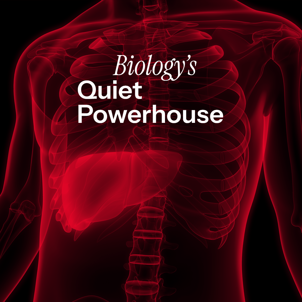 How to Turn Off Blue Light on Your iPhone (and Why You Should) – Bon Charge