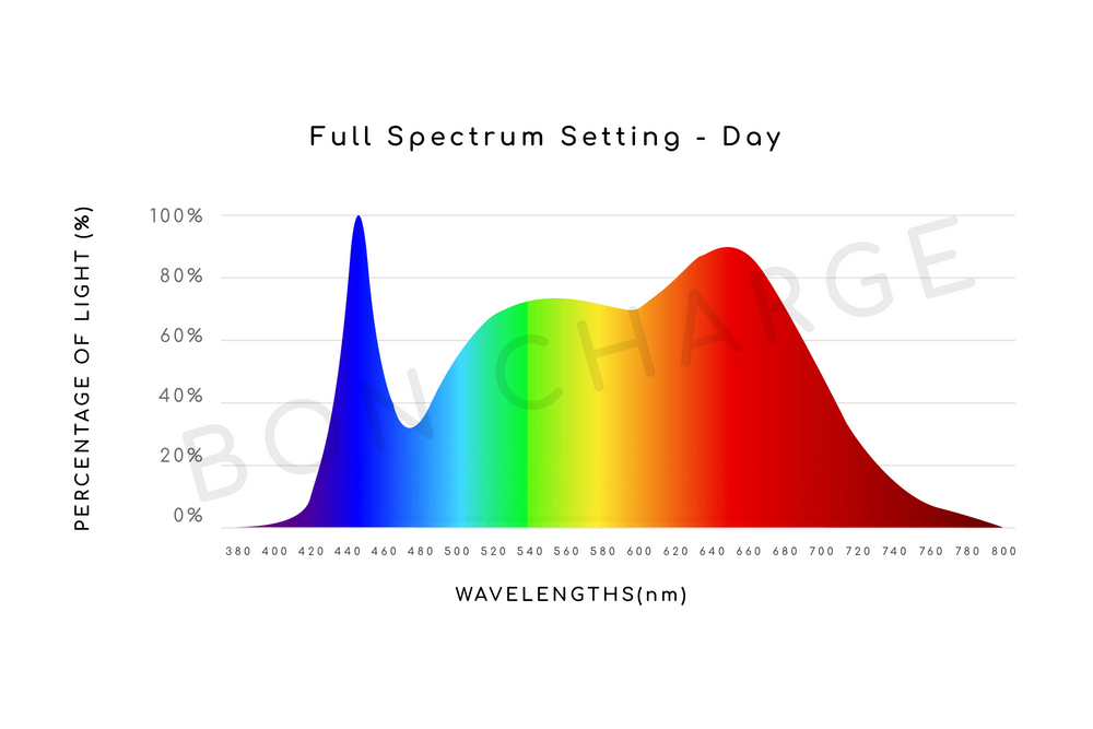 Full Spectrum Lamp | Flicker Free & Low EMF – Bon Charge